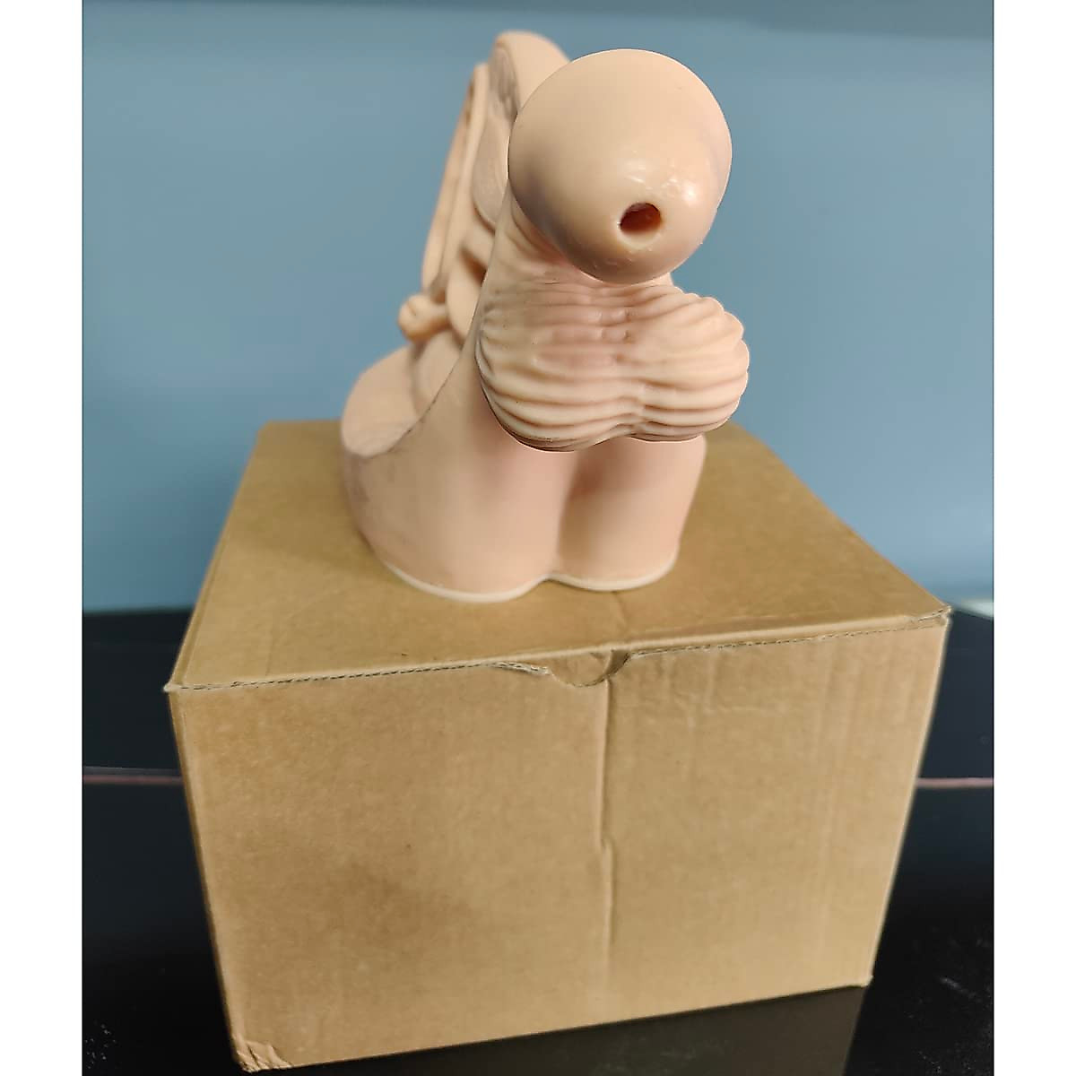 SIULAS Male Reproductive Organ Model - Anatomical Training Manikin - PVC Material, Light Brown, For Medical Professionals, Students, and Educators