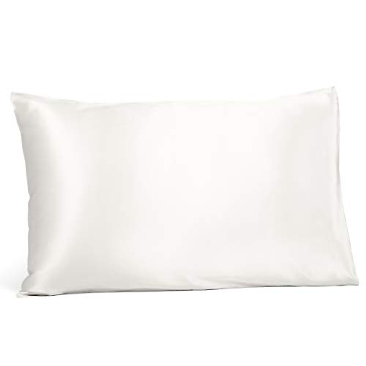 Fishers Finery 19mm 100% Pure Mulberry Silk Pillowcase, Good Housekeeping Quality Tested (White, S)