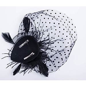 Cizoe Fascinator Hair Clip Pillbox Hat Bowler Feather Flower Veil Wedding Party Hat Tea Hat(2-Black)
