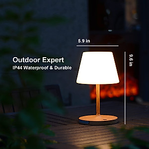 LOTITOL Outdoor Table Lamp/Cordless USB Rechargeable 4000mAh / 2700K LED/Touch Dimmable/Portable Battery Operated / IP44 Waterproof/PE Shade/Bedroom Dinning Camping Patio (9.6in, Wood Grain)