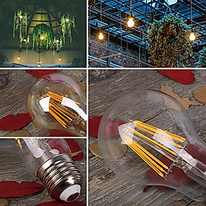 Vintage LED Edison Light Bulbs, A19 Edison Bulbs, 6W Equivalent to 60W, 2200K Warm White, Antique Dimmable LED Filament Bulb, Amber Light Bulbs, Old Fashioned Light Bulbs, E26, 6 Pack