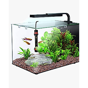 NICREW Preset Aquarium Heater, Submersible Fish Tank Heater with Electronic Thermostat, 100 Watt, for 10 to 25 Gallon Tank, UL Listed