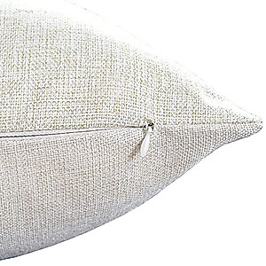 TSSOHU Outdoor Patio Throw Pillow Cover Fishs Farmhouse Décor Outside Furniture Swing Seat Bench Chair Decorative Cushion Cases 18x18 inch Deep Seat Bed Couch Sofa