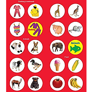 Super Duper Publications | Classifying Photo Fish- Transportation, Clothing, Animals, Food, and Around The Home Vocabulary Magnetic Game | Educational Materials for Children