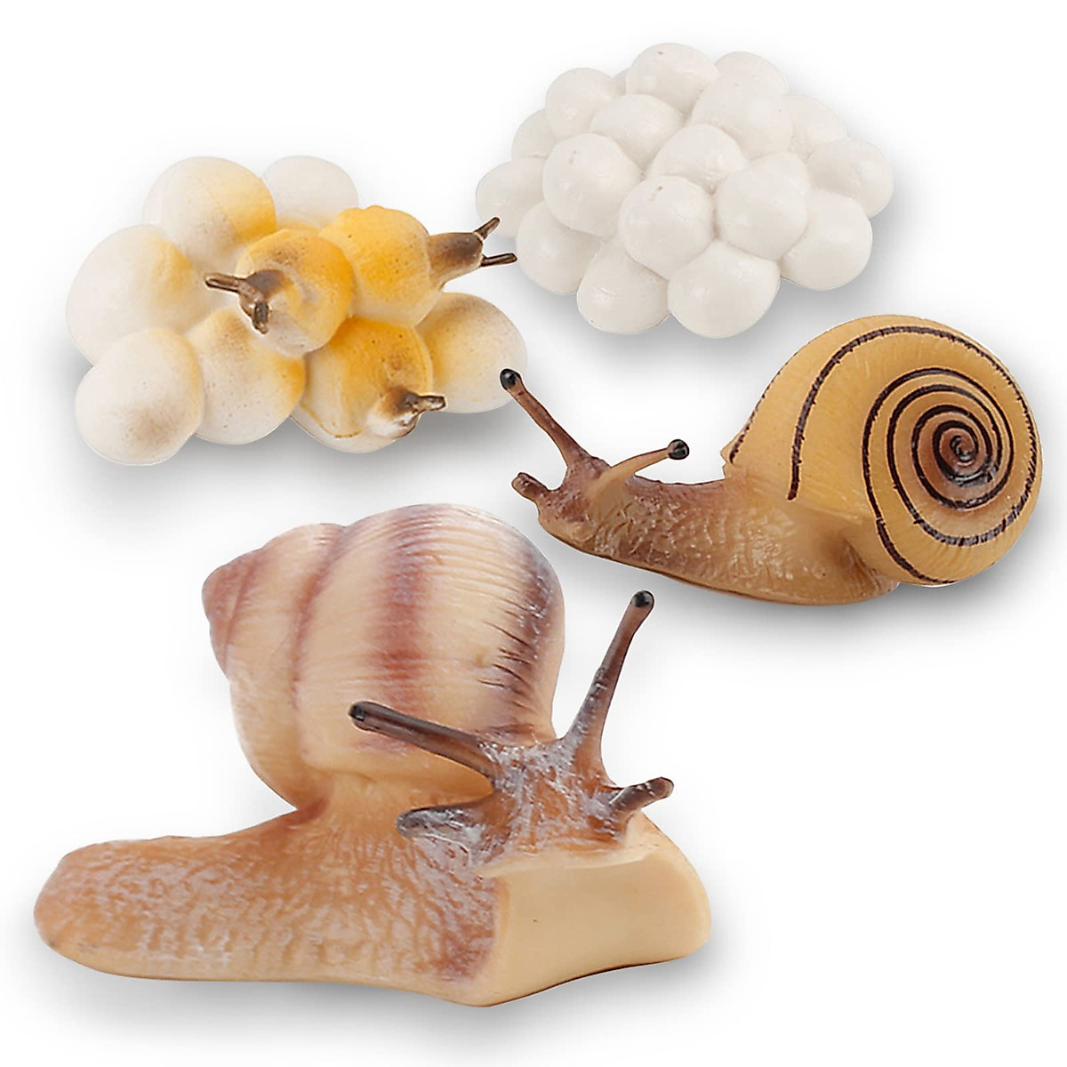 Snail Life Cycle of Snail Toys Life Cycle Figures Set Realistic Preschool Animals Figurines Eduactional Project Diorama Model Toy for Kids