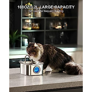 NautyPaws Cat Water Fountain, 3.2L/108oz Automatic Stainless Steel Pet Fountain Dog Water Dispenser with Super Quiet&Transparent Window Design- Ideal for Cats, Dogs and Multiple Pets - Dishwasher Safe