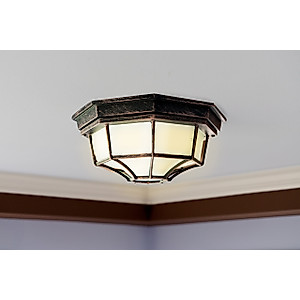 Trans Globe Imports 40582 RT Traditional One Light Flushmount Lantern from Benkert Collection in Bronze / Dark Finish, 11.00 inches