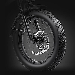 Hipeak Bona Electric Bike for Adults, Ebike 750W/48V/15Ah, 20" x 4.0" Fat Tire Electric Bike Folding with Removable Battery, Step-Over Folding Adult Electric Bicycles Front Shock Absorber