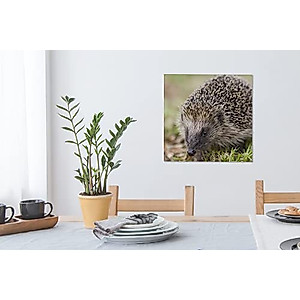 NCISTV Gibbs' Rules RINGER Mug - Ceramic 11oz Coffee/Tea Cup Gift Stocking Stuffer