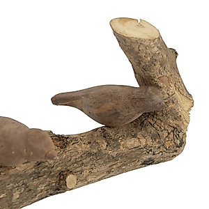 Creative Co-Op Driftwood Branch with Hand-Carved Mango Wood Birds (Each one Will Vary) Décor, Brown