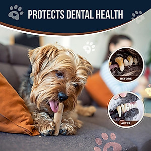 GOWGOW Wooden Chews for Dogs & Natural Dog Rope Toys, 2 Pack Size Small - 100% Natural Chews for Dogs Teething, Stress Relief, Dental Health, Organic Dog Toys