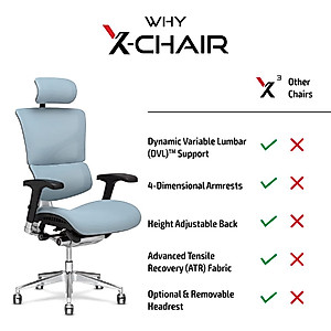 X-Chair X3 Management Office Chair, Black A.T.R. Fabric with Headrest - High End Comfort Chair/Dynamic Variable Lumbar Support/Floating Recline/Highly Adjustable/Durable/Executive Office Desk Seat