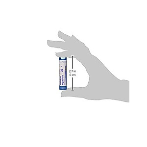 Boiron Echinacea Purpurea 30C for Sore Throat Pain with Fatigue - 80 Pellets