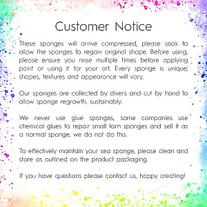 NAROA Artist Natural Sea Sponges for Painting 8 Pack | Unbleached Unique Sponges Set | Acrylic Watercolor, Marbling, Texturing, Pottery, Ceramics