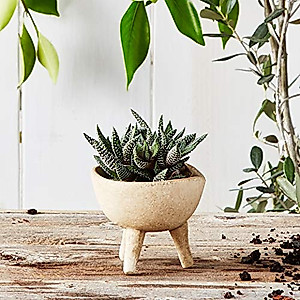 Creative Co-Op Boho Terracotta Footed Planter, Distressed Cream
