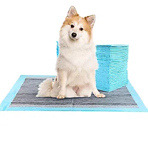 FluffyDream Super Absorbent Waterproof Dog and Puppy Pet Training Pad, Housebreaking Pet Pad,Blue (22"x22"Odor Control, Scented (100PCS))