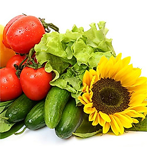 AeroGarden Grow Anything Seed Pod Kit (50-pod) Green