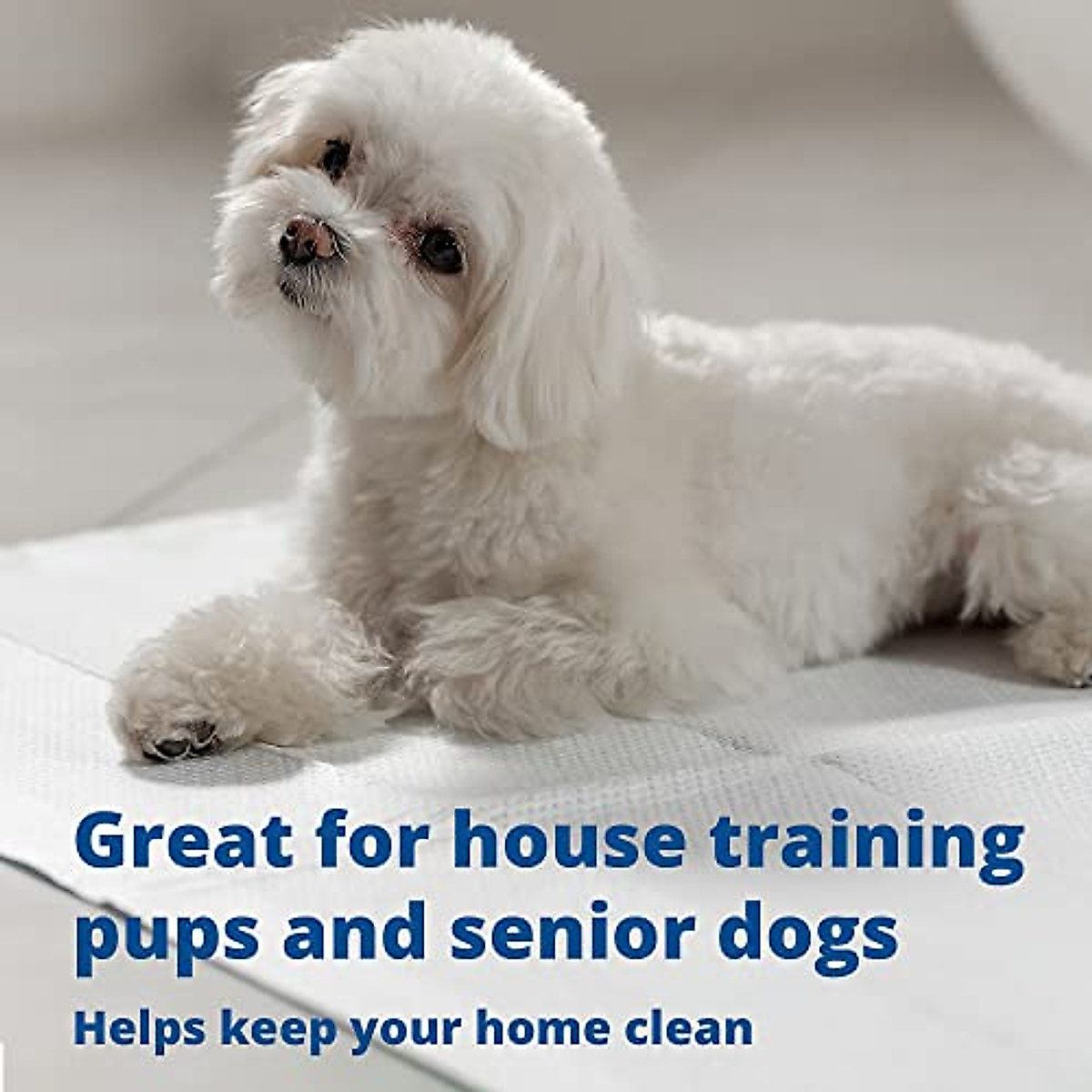 Medline Ultrasorbs AP Drypads, Super Absorbent Disposable Underpad, 30 x 36 inches, 10 Count (Pack of 4), Great for use as Bed pad Protector, Furniture Protection, Incontinence Care