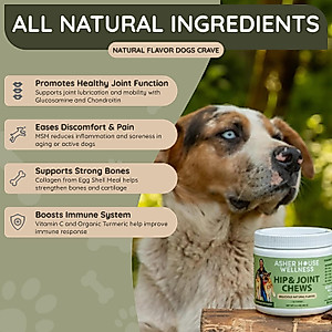 Asher House Wellness Hip and Joint Supplement for Dogs - Natural Soft Chew with MSM, Chondroitin, Glucosamine, Vitamins - Promotes Joint Health & Pain Relief Senior & All Dog Breeds, Large, 120 Chews