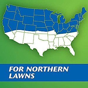 Scotts PatchMaster Lawn Repair Mix Sun + Shade Mix, Combination Grass Seed, Fertilizer, and Mulch, 4.75 lbs.