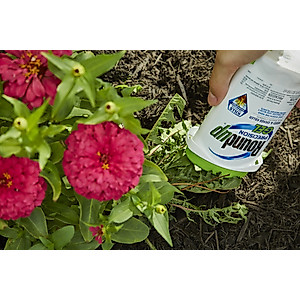RoundUp Precision Gel Weed & Grass Killer 5 OZ (150ML)