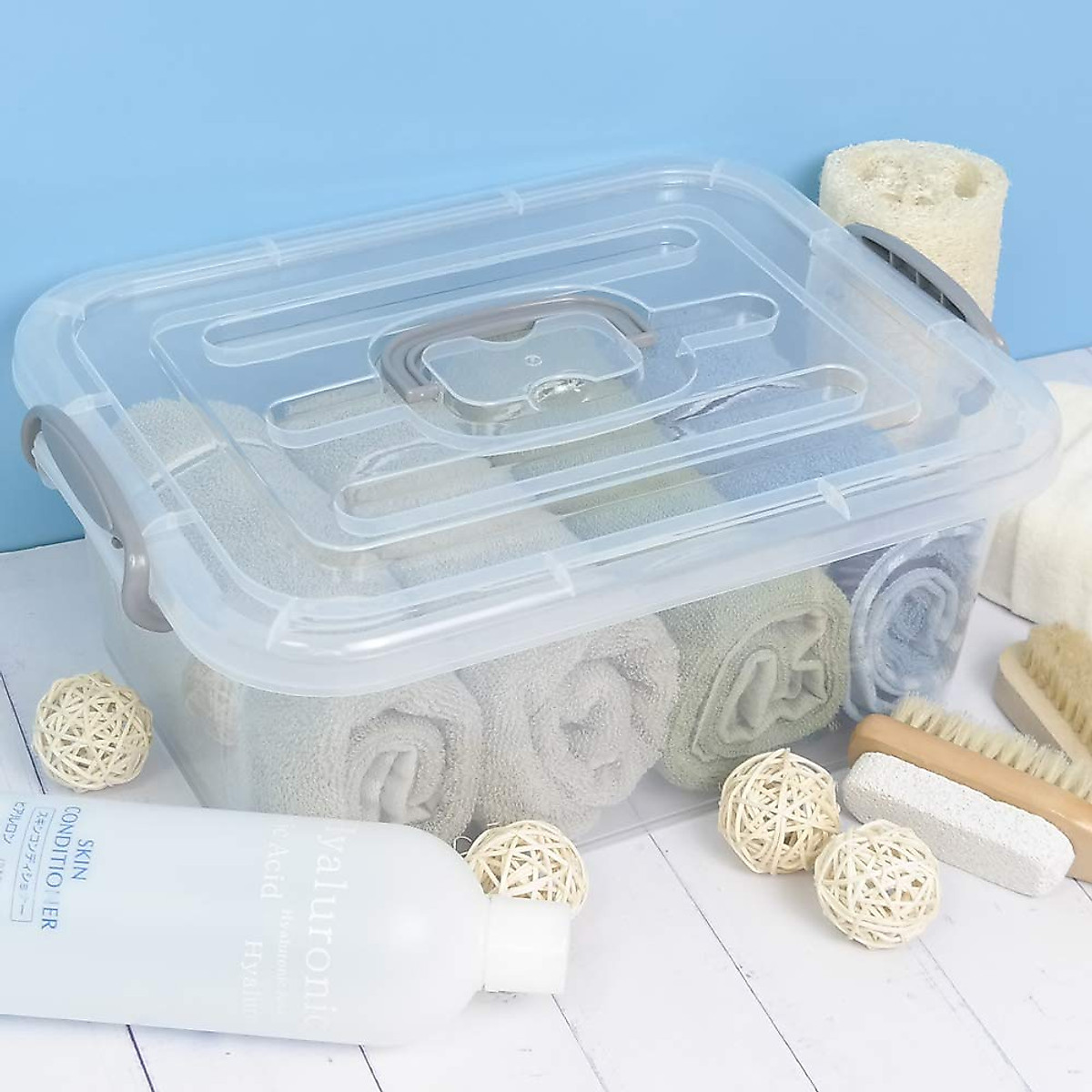 Minekkyes 2 Packs Plastic Storage Box, Clear Latching Storage Bin with Lids/Handles, 8 L