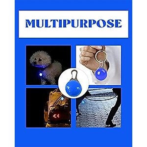 JayJos clip-on pet safety light, LED glow in the dark lights for your pet, weather resistant safety flashing lights for dogs, cats ,night walking, campers and bicycling Gifts For Pets, Keychain Light Blue