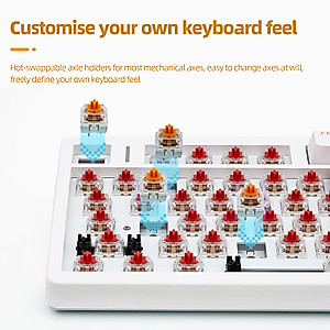 IROK FE75Pro Wireless RGB Hot Swappable Mechanical Keyboard, Three-Layer Dampening 81 Keys Gaming Keyboard, Customizable Backlit, USB-C/2.4GHz/Bluetooth- White/Blue