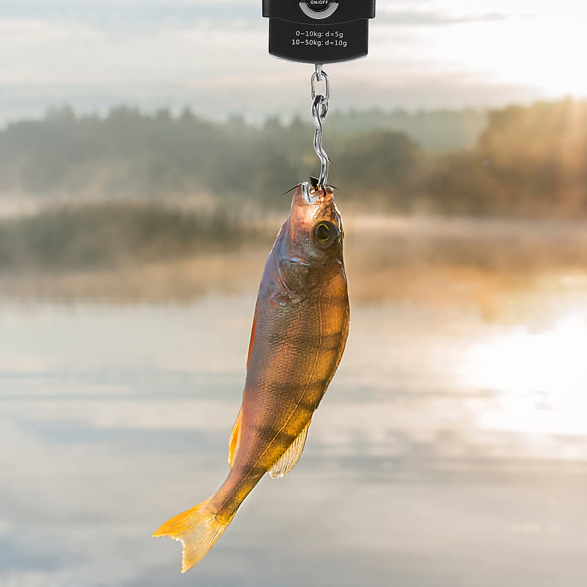 Spring Balance Digital Small Scales Small Weight Scale Hook Scale Home Supplies Home Electronic Scale Kitchen Weight Scale Hanging Scale Fishing Weight Scale Hand Scale Fish Scale