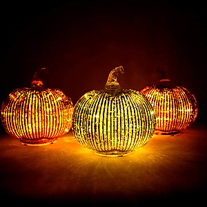 hvfun Mercury Glass Light up Pumpkin with Timer- Fall Decoration for Home-Lamps for Festive Decoration-Halloween Decorations (Gold)