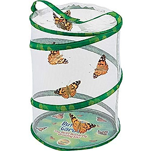 Insect Lore Butterfly Garden | 10 Live Baby Caterpillars | Habitat, STEM Journal, Chrys-A-Lids, Feeder | Raise and Release Painted Lady Butterflies