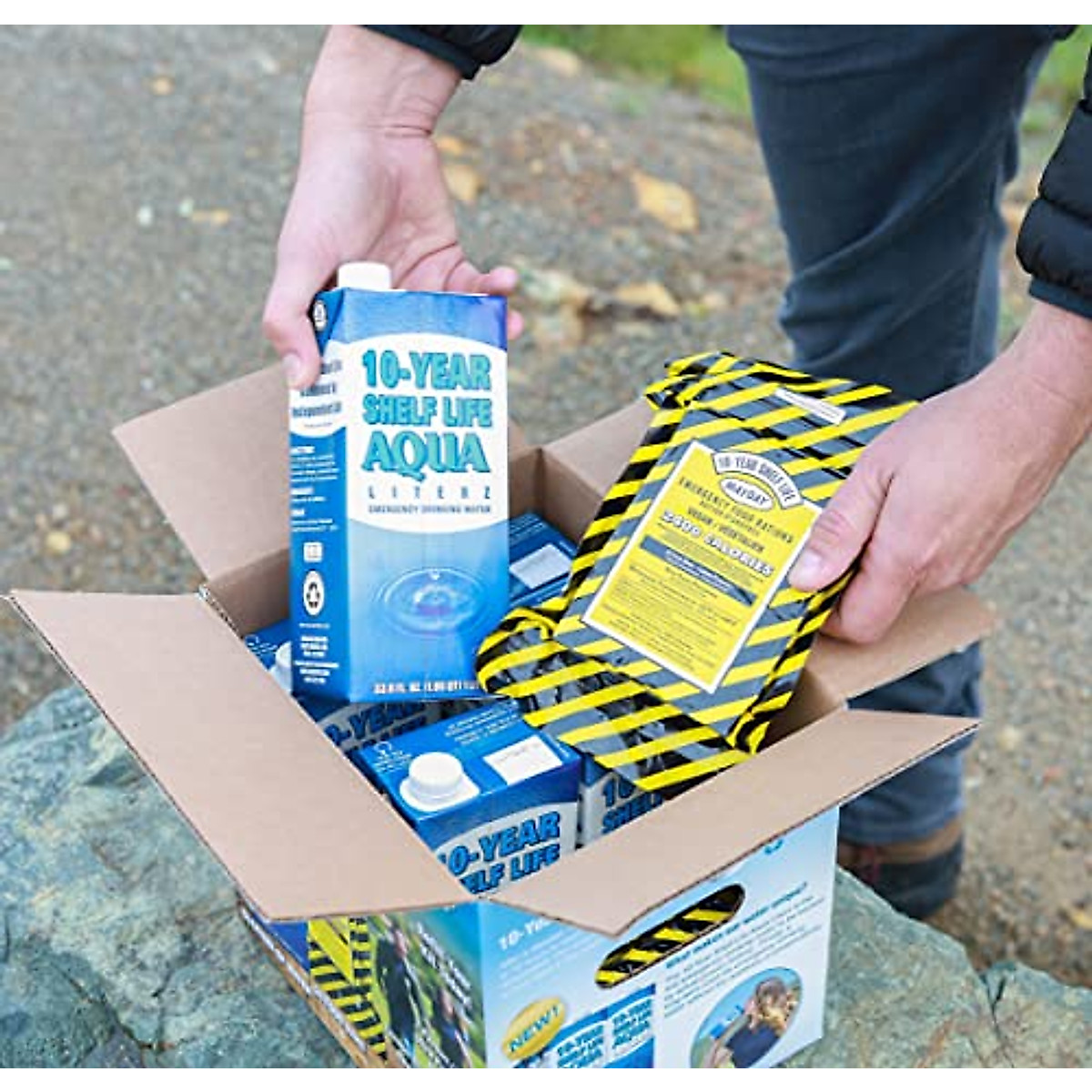 10 Year Vegan Food and Water Kit