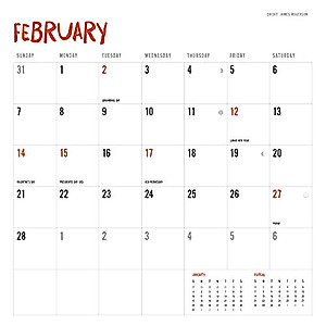 Comedy Wildlife 2021 Wall Calendar: (Funny Animal Monthly Calendar, Calendar with Photographs of Wild Animals Doing Funny Things)