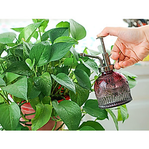 Glass Plant Mister Spray Bottle, 6.3inch Tall Vintage Plant Spritzer Watering Can, Succulent Watering Bottle with Top Pump, Plant Mister Glass Watering Garden Tool (Grey Red Gradient)