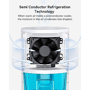 Dehumidifier - 27 oz(800ml) Small Dehumidifiers for Home Bedroom Bathroom Basements Closet RV Room, 2200 Cubic Feet Full Auto-Off Portable Electric Mini Dehumidifier for Space Up to 190 sq ft