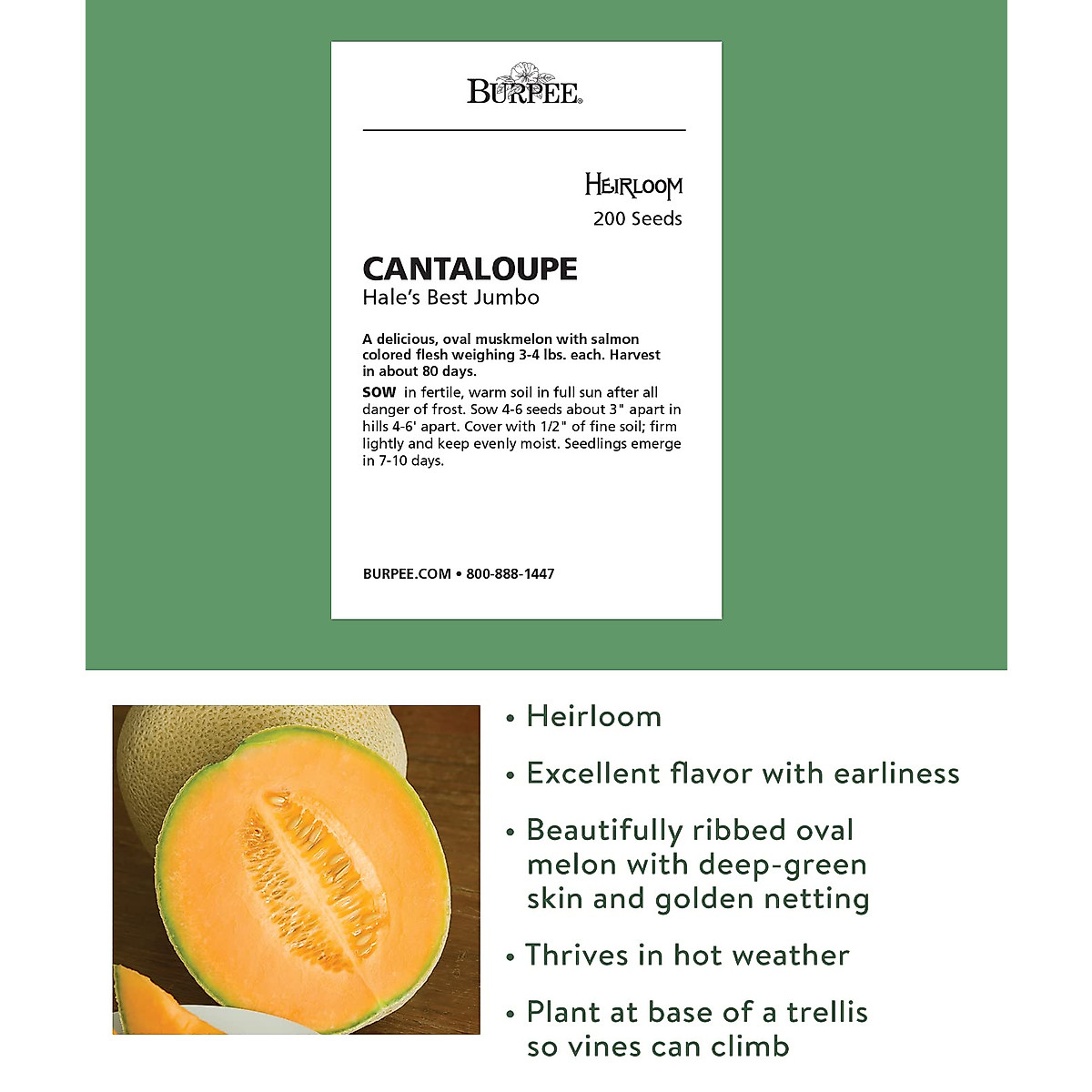 Burpee Hale's Best Jumbo Cantaloupe Melon Seeds 200 seeds