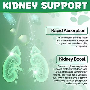 ALIVO Liver Support for Cats, Liver and Kidney Support for Cats with Natural Herbal Extract Helps Balance Cats Liver & Kidneys Health, Natural Pet Herbal Supplement for Cats - 60 ml