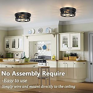 2-Light Flush Mount Ceiling Light Fixtures, 2-Pack Farmhouse Black Ceiling Lights, Industrial Metal Cage Light Fixtures Ceiling Mounted with Adjustable Head, Ceiling Lights for Bedroom Hallway Kitchen