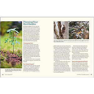 100 Plants to Feed the Birds: Turn Your Home Garden into a Healthy Bird Habitat