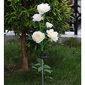HDNICEZM Solar Garden Lights Outdoor Decorative - 2 Pack Upgraded Realistic 5 Rose Flowers Lights LED Solar Stake Lights Waterproof for Garden Backyard Patio Pathway Courtyard Decoration (White)