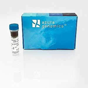 Azura PureView 100 bp DNA Ladder 100 Lanes 500µl