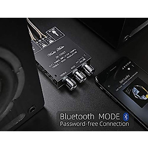 100W+100W Amplifier Board with Treble and Bass Control, DC 9-24V, BT and AUX Inputs, 2.0 Channel Stereo AMP Board for DIY Wireless Speakers, Password Free