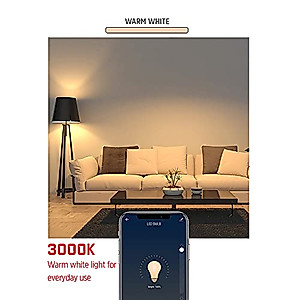 Energizer Connect Smart A19 LED Warm White Light Bulb with Voice Control and Remote Access Through Your Smartphone | Compatible with Alexa and Google Assistant, 4 Pack