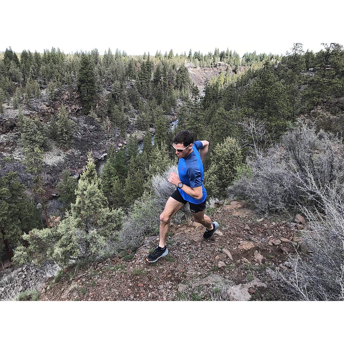 Swiftwick – MAXUS ZERO Tab Golf & Running Socks, Maximum Cushion, Mens & Womens (Gray, Large)