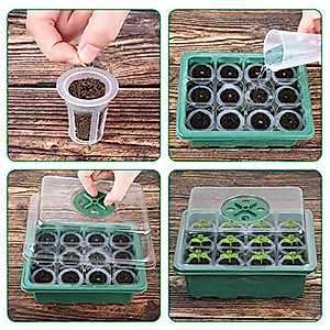 moistenland 50-Pack Compatible Seed Pod Sponges, Seed Starter Sponge Pods Replacements, Root Growth Sponge Plugs for Hydroponic Indoor Garden kit Seed Starting (Seeds Not Included) (50)