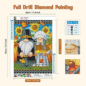 NAIMOER Gnomes Diamond Painting Kits for Adults, Fall Diamond Painting Thanksgiving 5D Sunflowers Diamond Painting Kits Full Drill Diamond Art Love Couple Pics Craft for Home Wall Art Decor 30x40cm