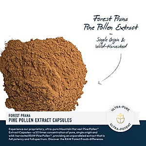 Pine Pollen Extract Capsules — Adaptogenic, Phytosterols, Endocrine Health Support — Highest Potency, Ultra-Pure Extract — Men & Women — No Fillers, Never Irradiated, Vegan, Non-GMO — 120 Count