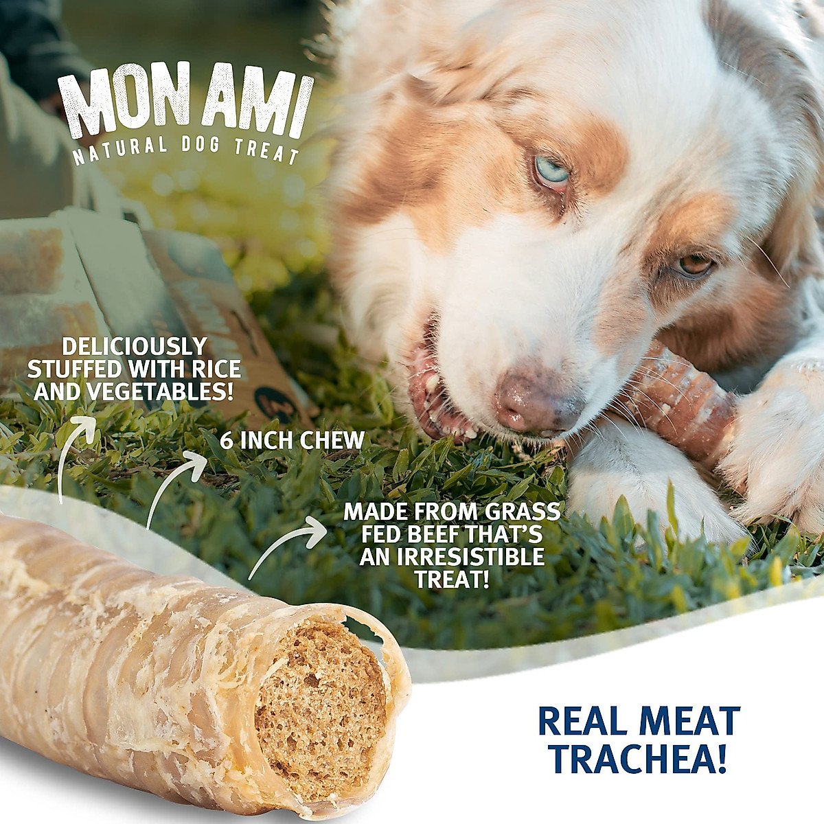 Mon Ami Beef Stuffed Trachea Dog Chews (6 inch, 9 Count) –Trachea Treats for Dogs Made from Grass Fed Beef with Glucosamine & Chondroitin – Natural Dog Treats & High Protein