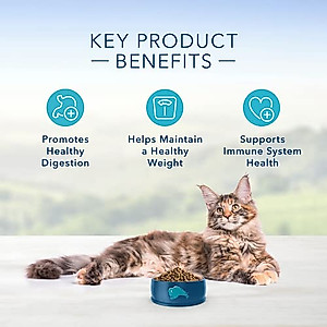 Blue Buffalo Indoor Health Dry Cat Food, Chicken & Brown Rice, 5 Lb