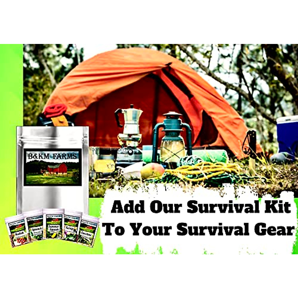 30 Vegetable & Fruit Seeds for Planting Your Outdoor & Indoor Home Seed Garden, Survival Gear Kit Includes 5900 Seeds, A Growing Guide & Mylar Package Gardening Heirloom Non-GMO Veggie Seed B&KM Farms